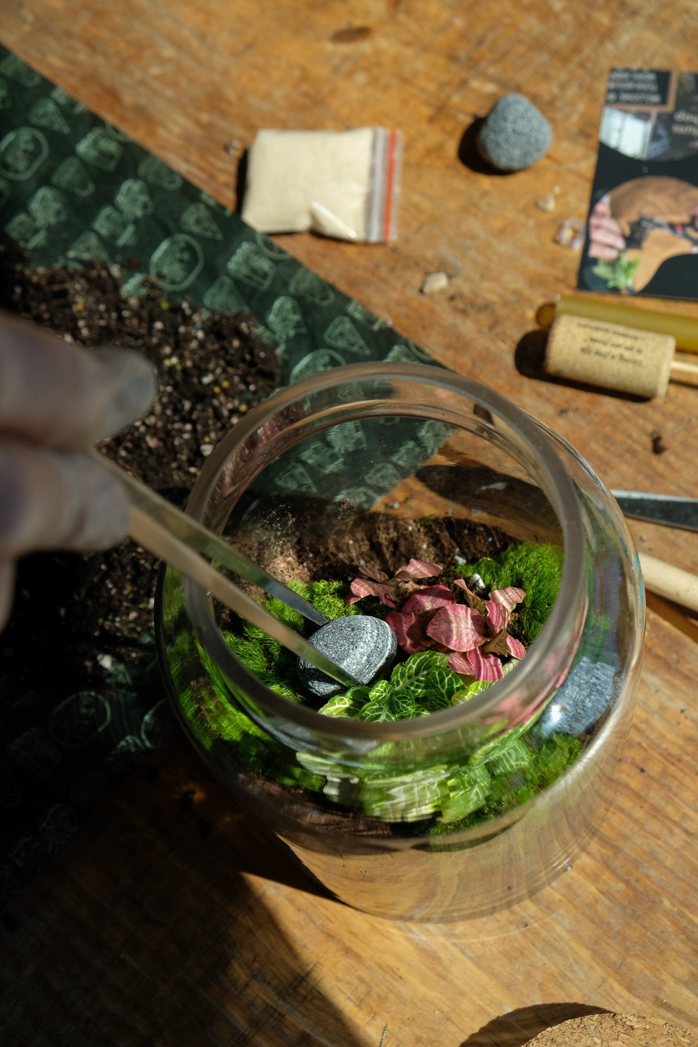 Best Beginner-Friendly Terrarium Projects– Terrart NYC