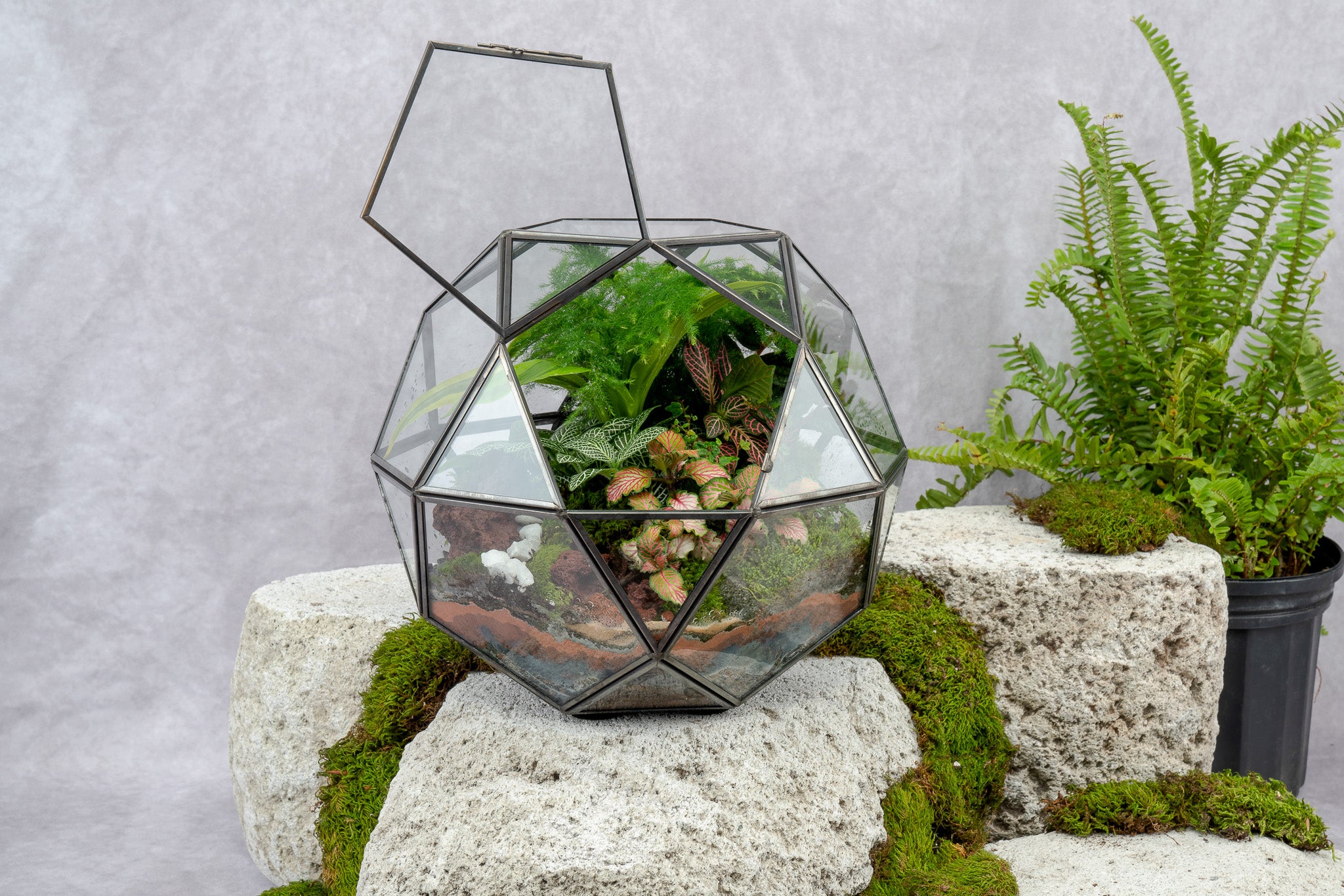 Stylish Geometrical Terrariums | Terrart NYC