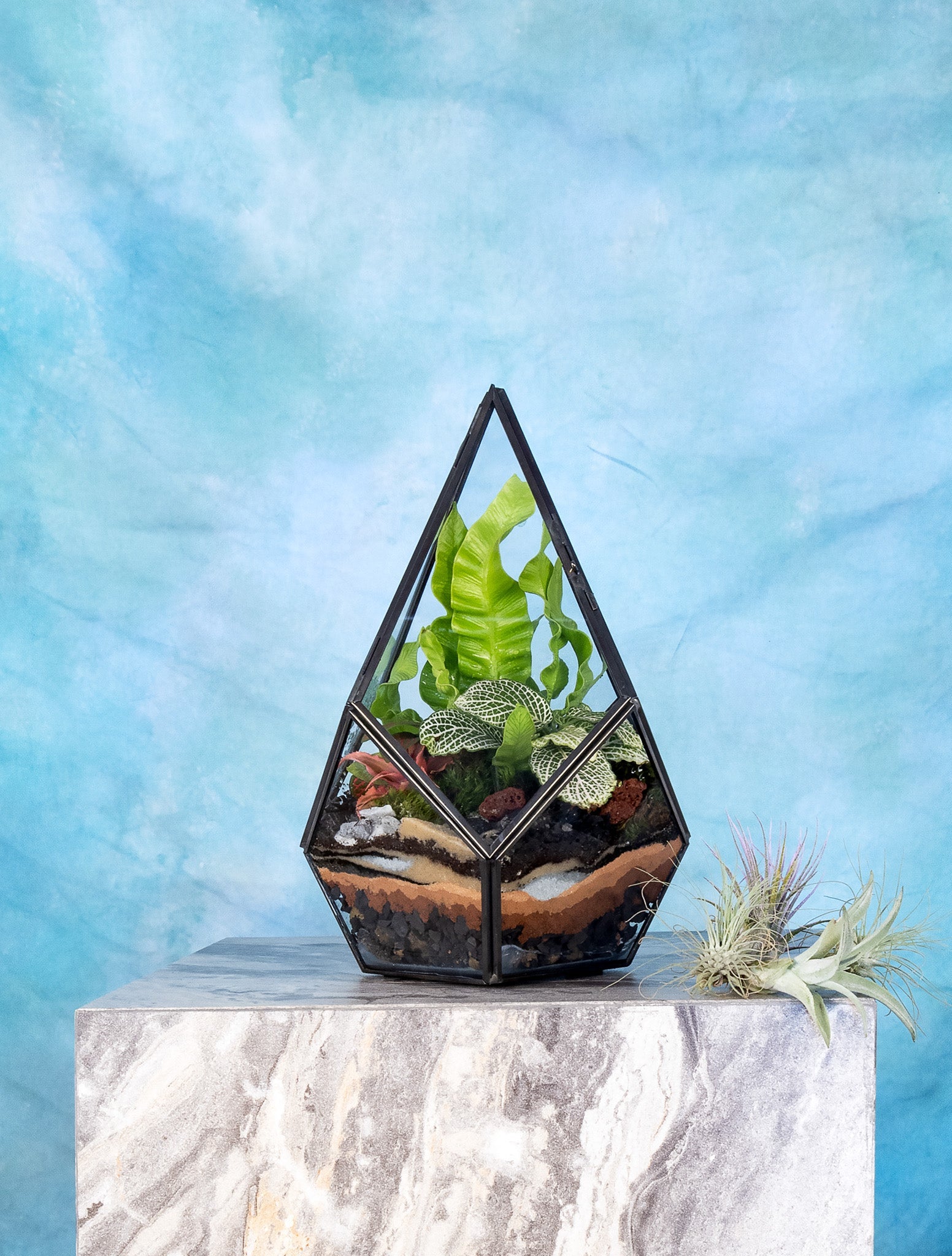 Compact Deco Terrariums | Terrart NYC