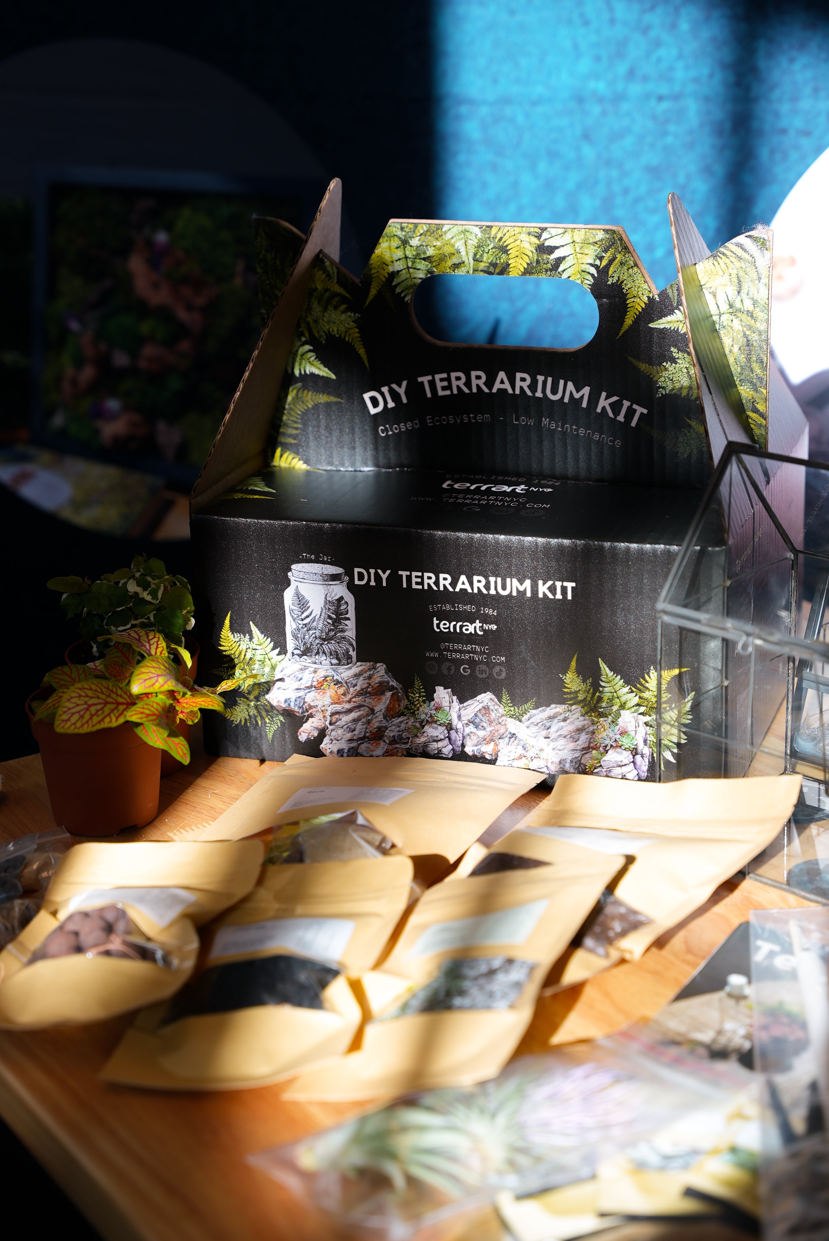 DIY Terrarium Kits– Terrart NYC