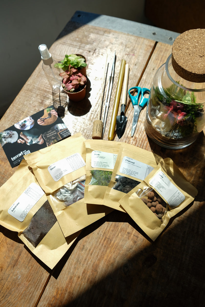 DIY Kit Self-Sustaining Ecosystem– Terrart NYC