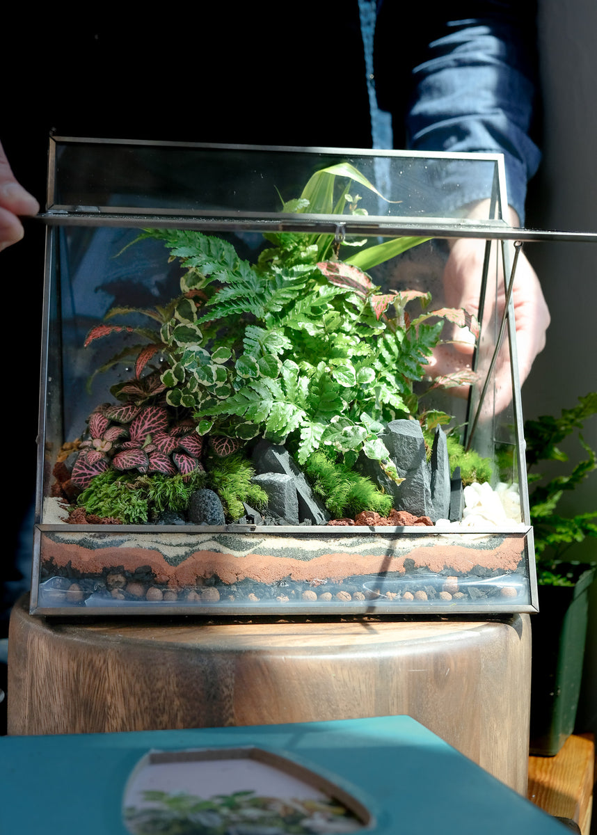 Paradise Terrarium– Terrart NYC