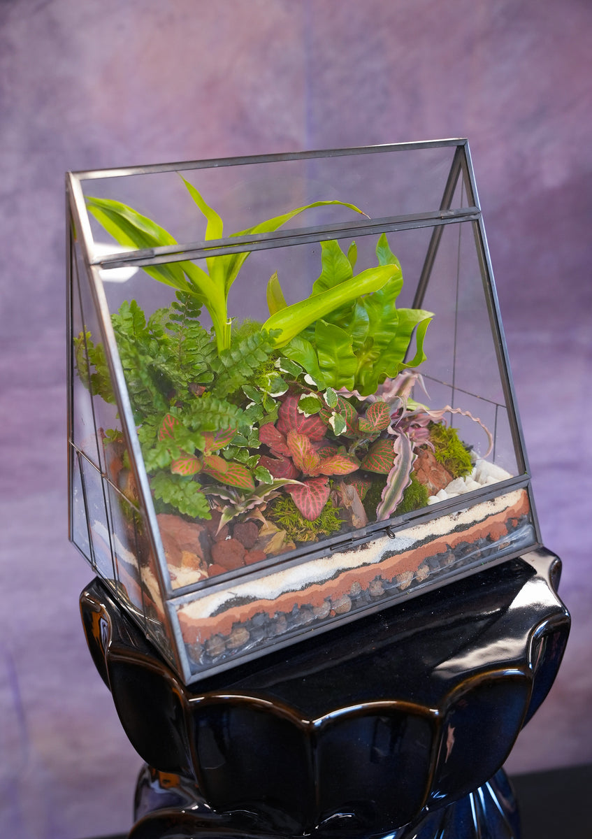 Paradise Terrarium– Terrart NYC