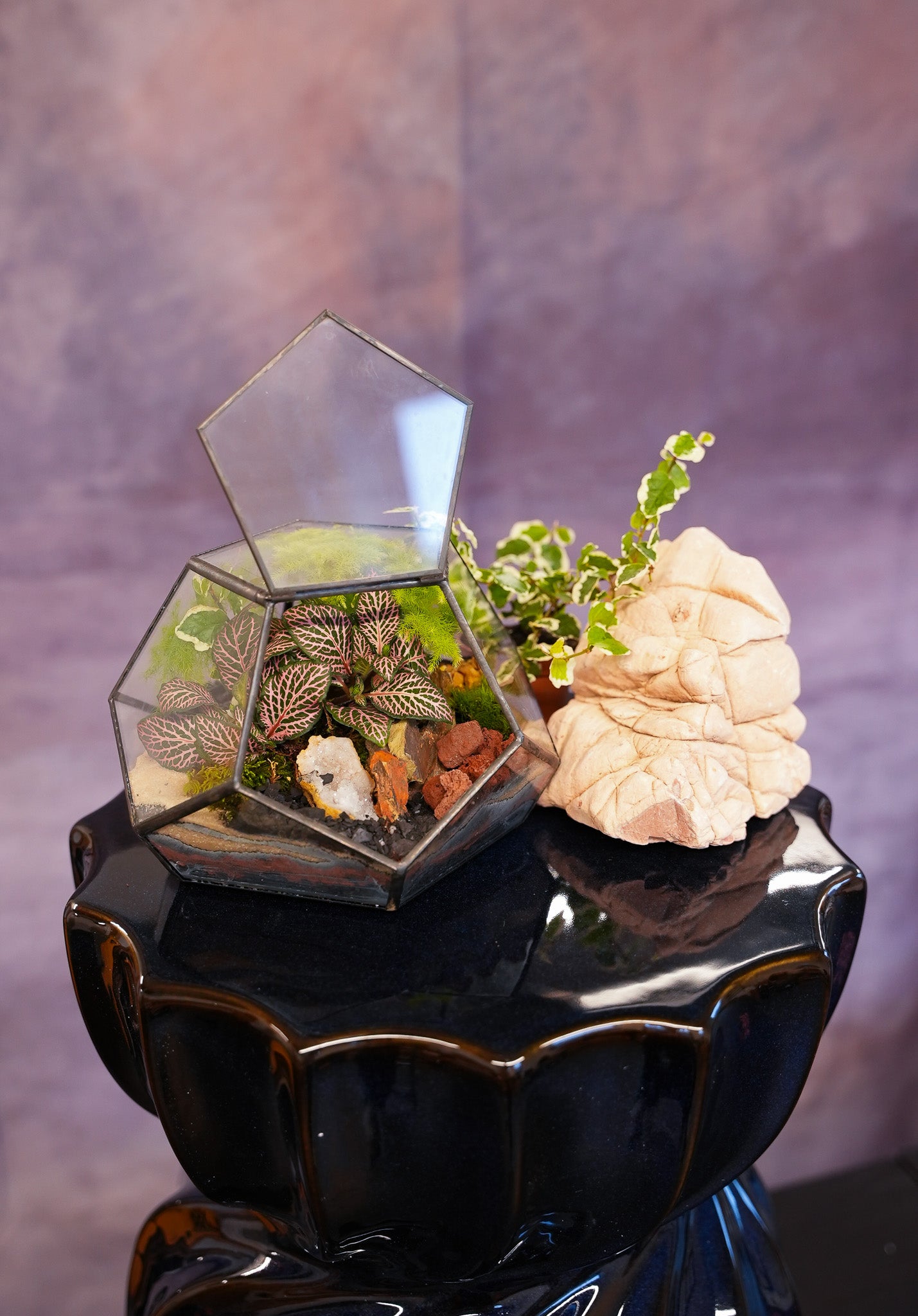 Mini Diamond Terrarium | Terrart NYC