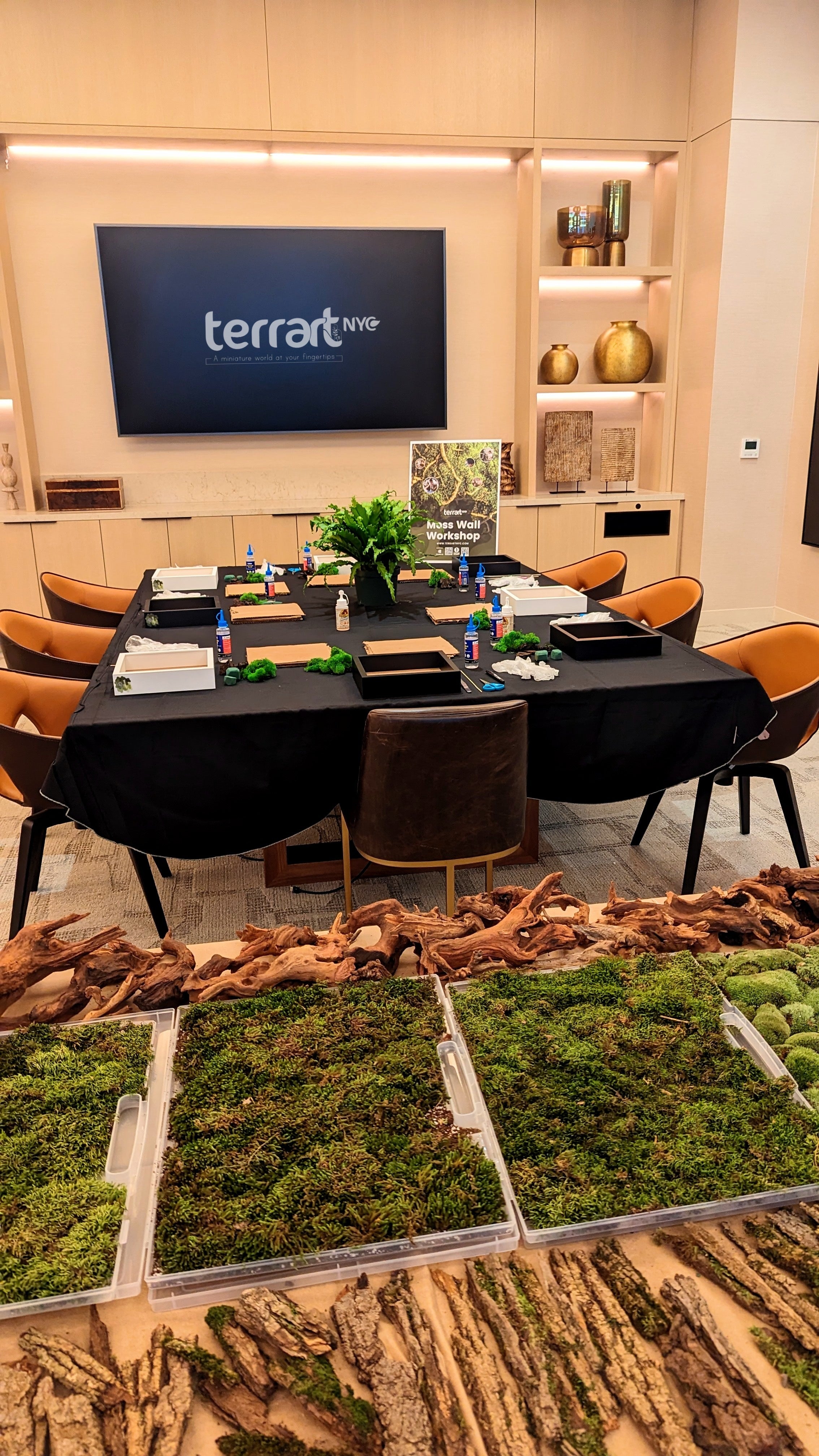 Terrart NYC