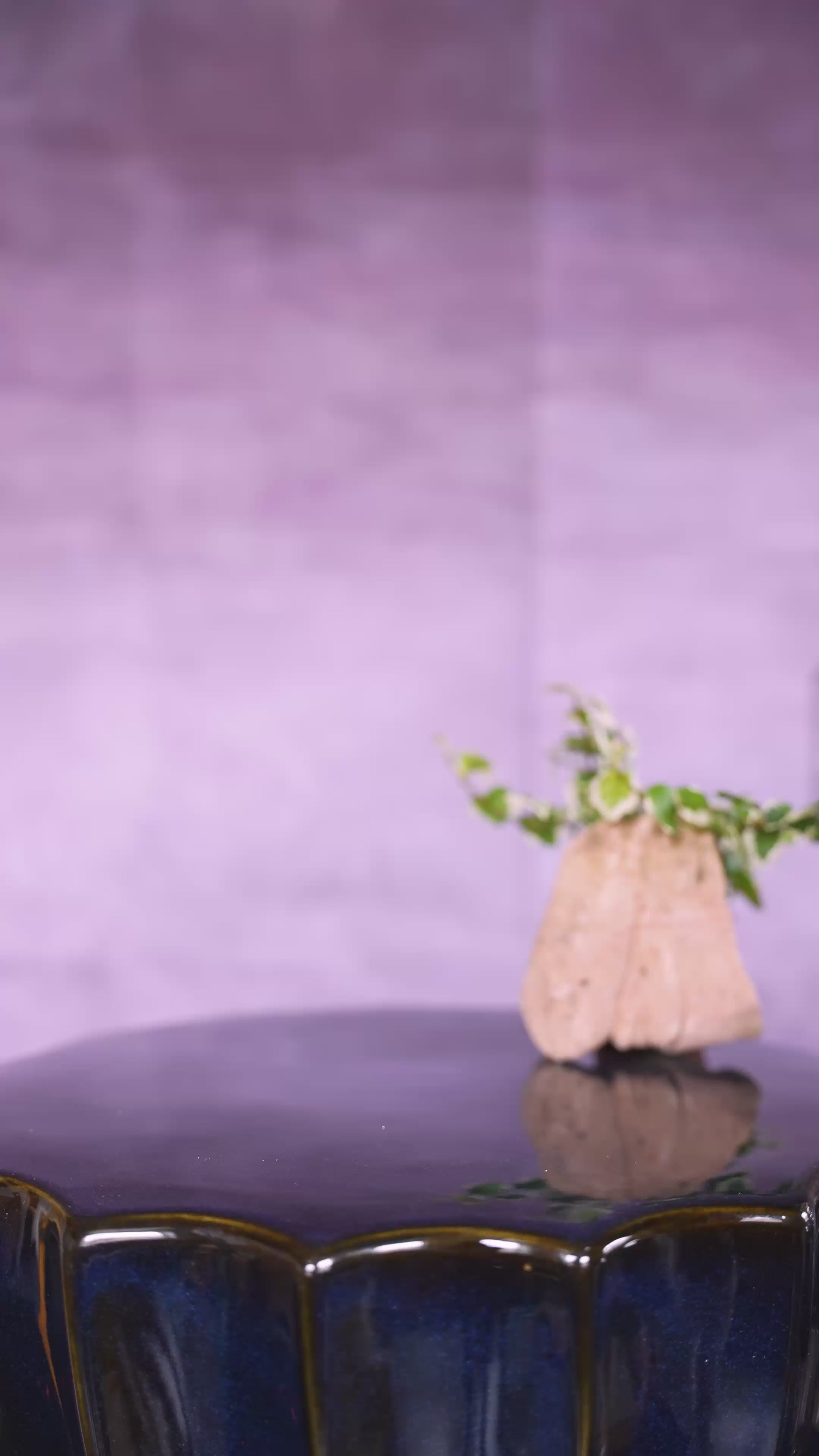 Mini Diamond Terrarium | Terrart NYC